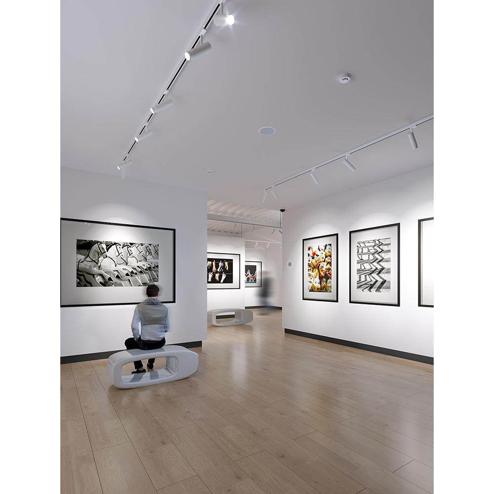 EJEMPLO_RIEL_2 - Illux Diseña Tu Ambiente